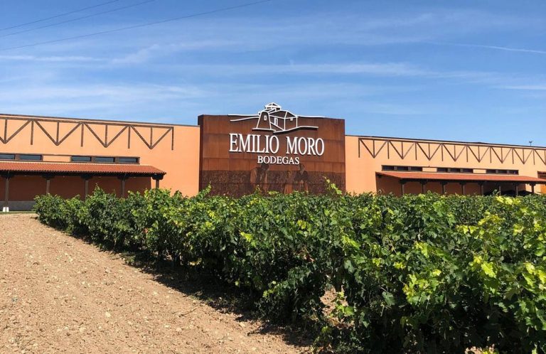 7 Fantastic Ribera Del Duero Wineries to Visit in Spain - Savored Journeys