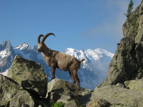 24 Epic Vacation Spots Around the World - Savored Journeys