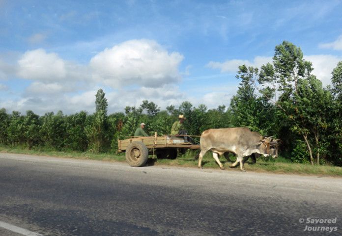 Havana to Vinales day trip: Visiting the Cuban Countryside - Savored ...