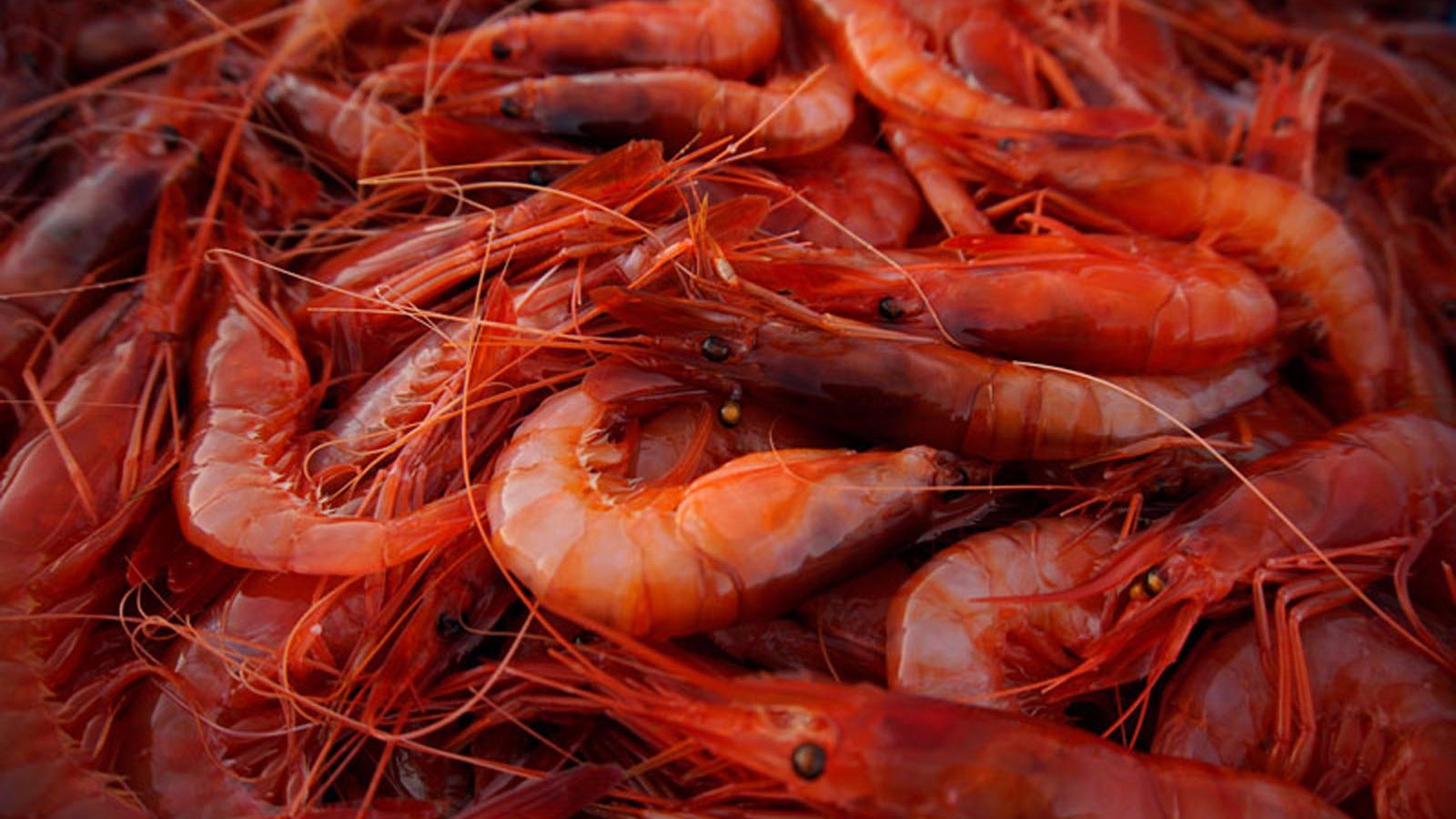 37 Products and Foods You Must Try in Catalunya, Spain - Savored Journeys