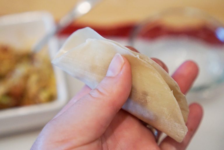 How to Make Japanese Gyoza (Pan-Fried Dumplings) - Savored Journeys