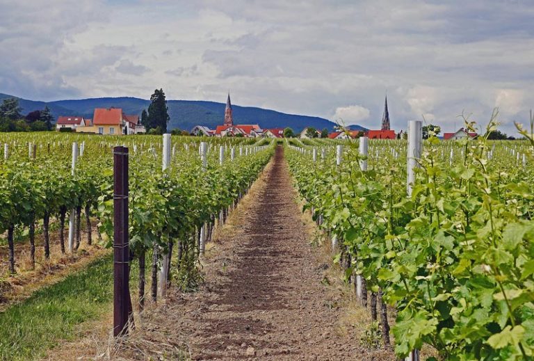 18 Incredible Wine Regions in Europe Worth Traveling For - Savored Journeys