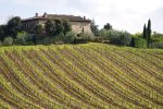 Alto Piemonte Wine Region + Wineries to Visit - Savored Journeys