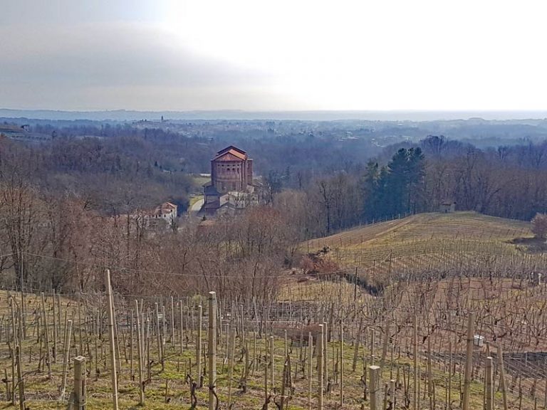 Alto Piemonte Wine Region + Wineries to Visit - Savored Journeys