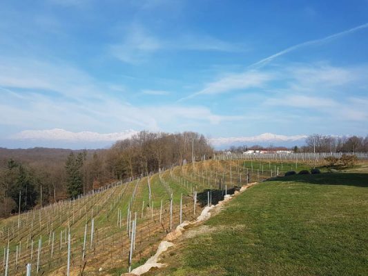 Alto Piemonte Wine Region + Wineries to Visit - Savored Journeys