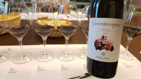 11 Must-Visit Tuscany Wineries - Savored Journeys