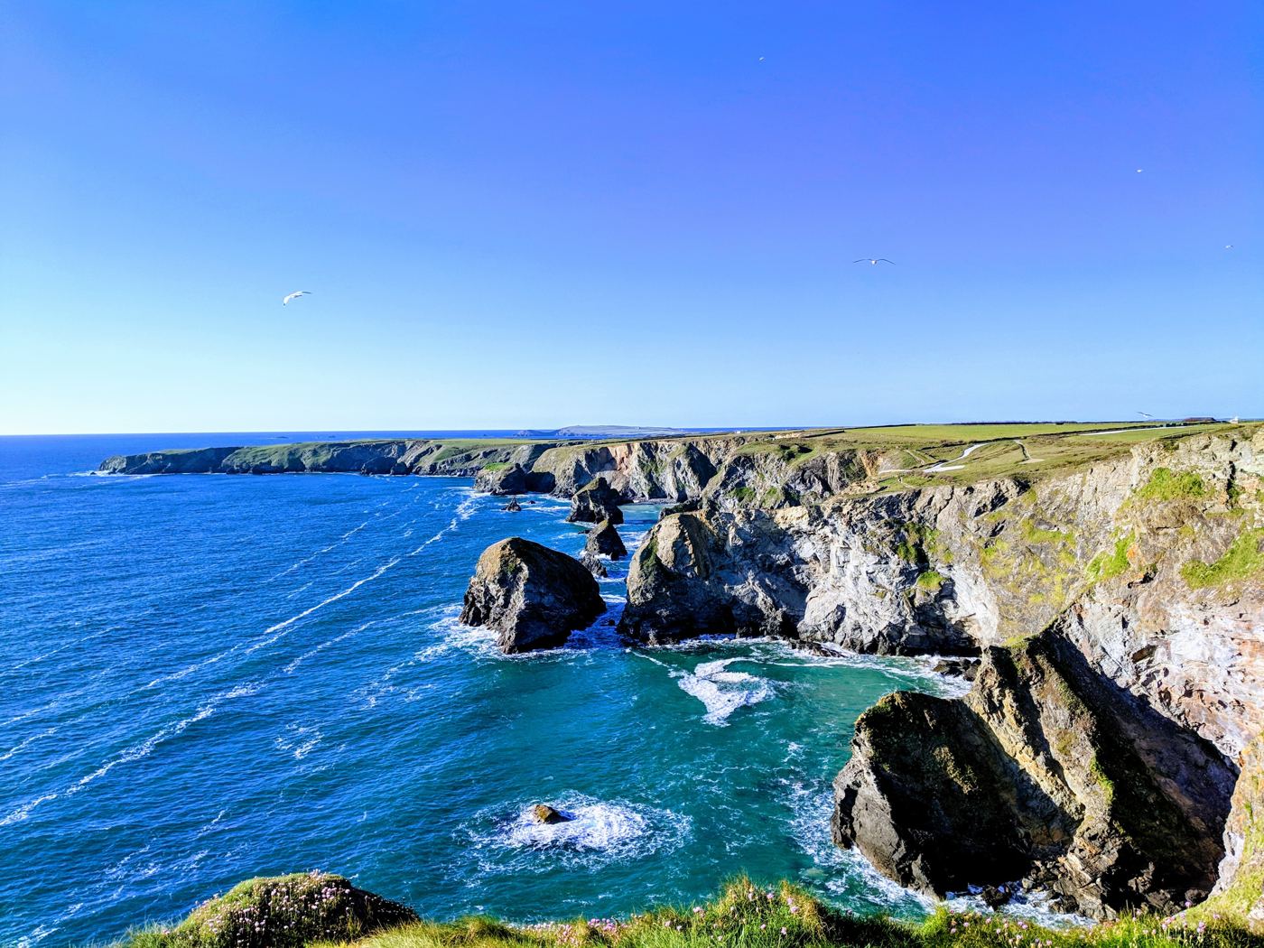 Foods You Must Try in Cornwall, England (and Where to Find It ...