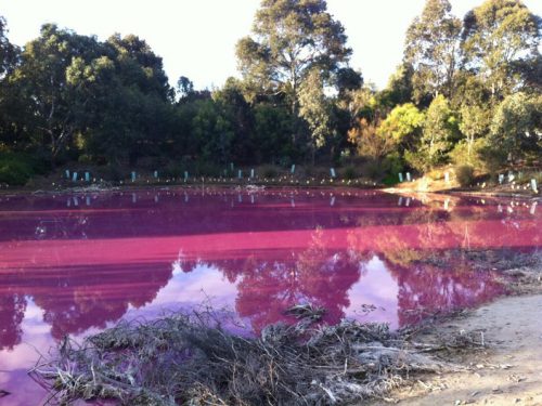 7 Amazing Places to See in Victoria, Australia - Savored Journeys