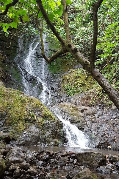 6 Gorgeous Waterfall Hikes in Oahu That'll Leave You Breathless ...