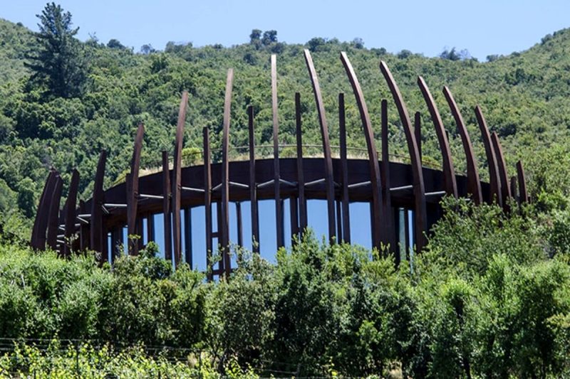 Must Visit Wineries in Chile's Colchagua Valley Wine Region - Savored ...