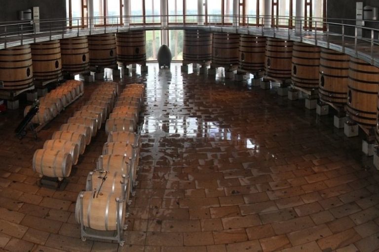 Best Chile Wine Regions to Visit - Savored Journeys