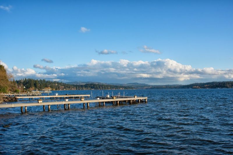 43 Fun Things to Do in Seattle - Savored Journeys