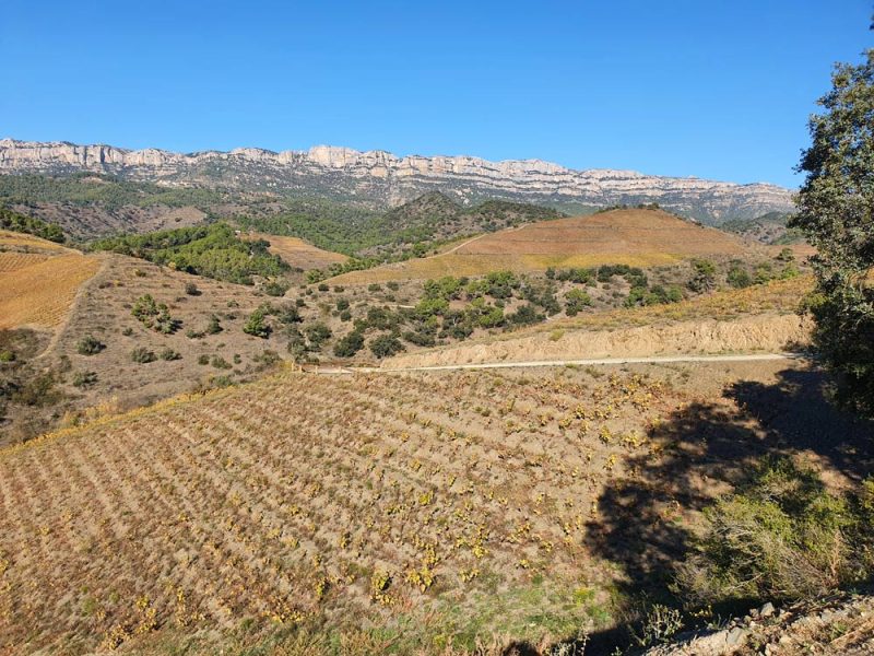 6 Great Priorat Wineries to Visit (+Where to Stay and Eat) - Savored ...