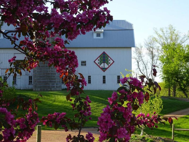 12 Best Minnesota Wineries To Visit - Savored Journeys