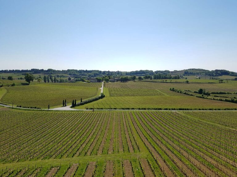 14 Top Saint-Emilion Wineries to Visit in 2024 - Savored Journeys