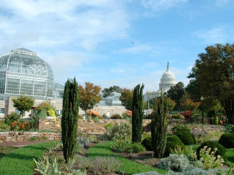 10 Best Museums to See in Washington DC - Savored Journeys