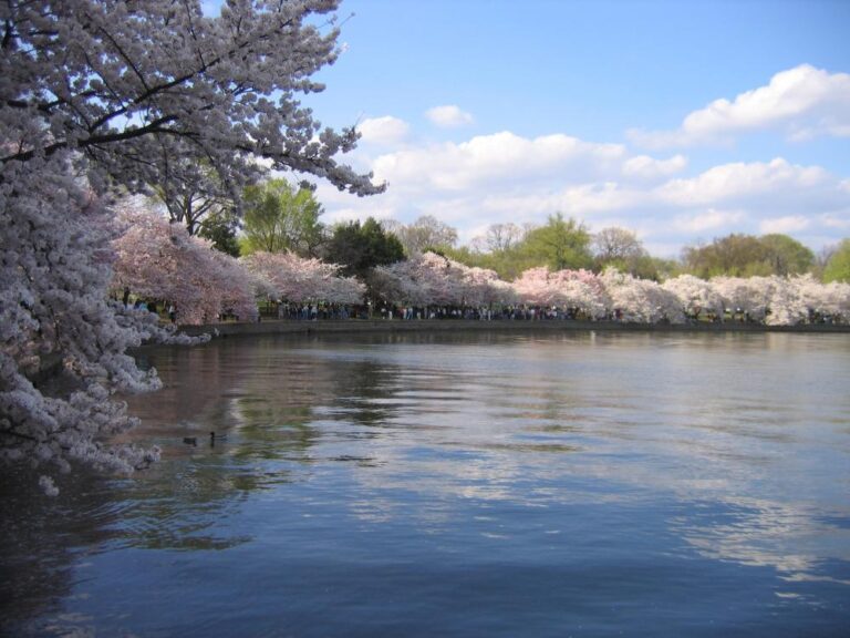 When is the Best Time to Visit Washington DC? - Savored Journeys