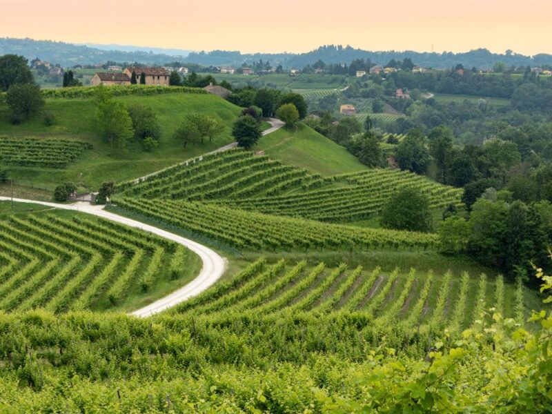 Sparkling Wines of Italy: Prosecco & Beyond - Savored Journeys