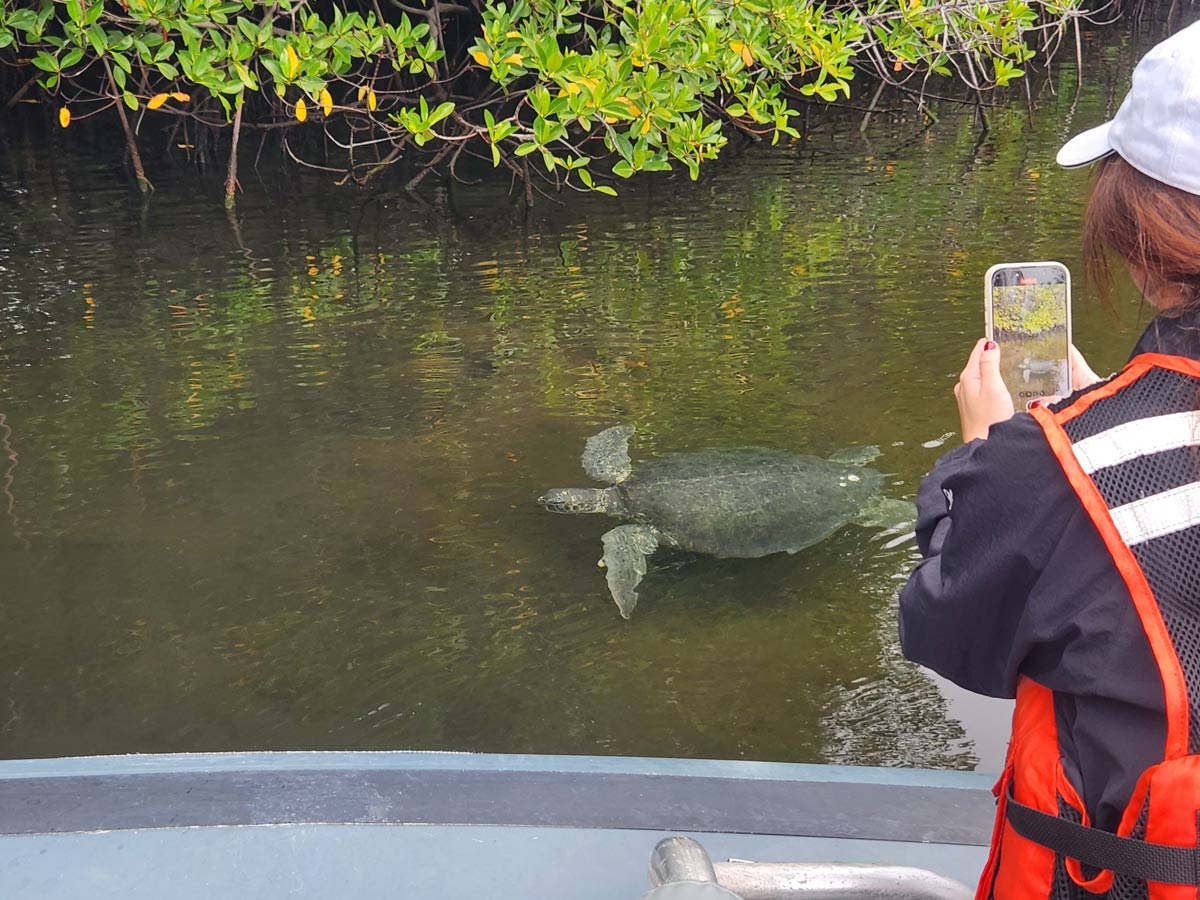 10 Unique Travel Experiences That Put All-Inclusives to Shame - Savored ...